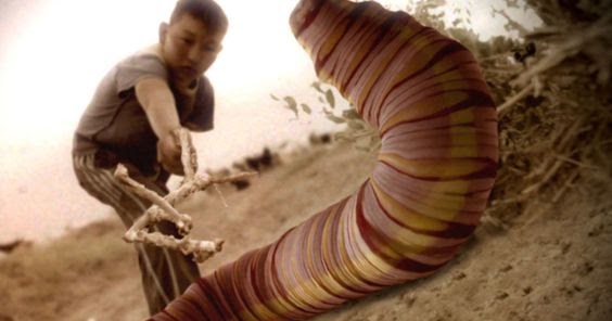 Catalogue of Organisms: The Mongolian Death Worm