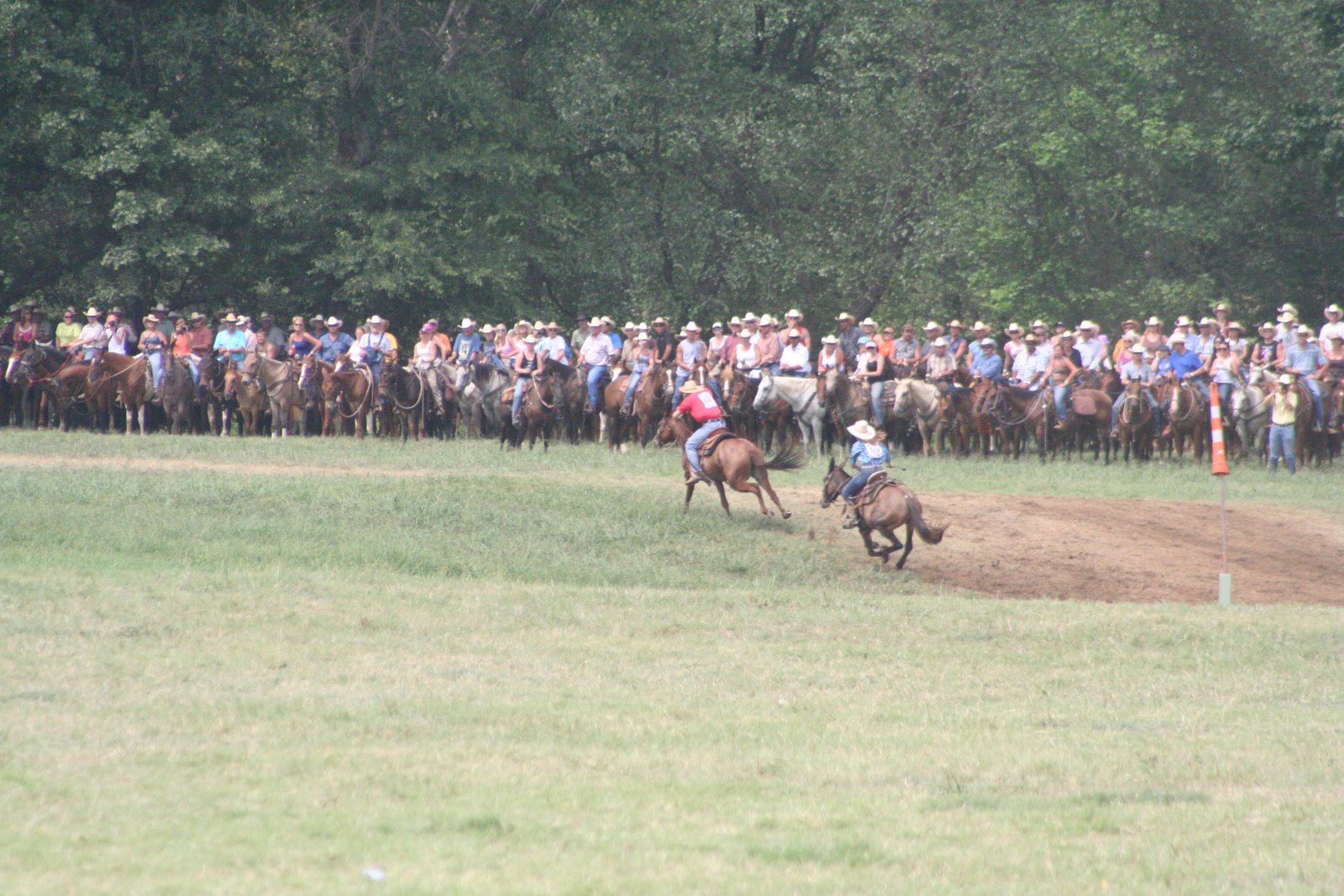 PairADice Mules: Saturday's Saddle Mule Race