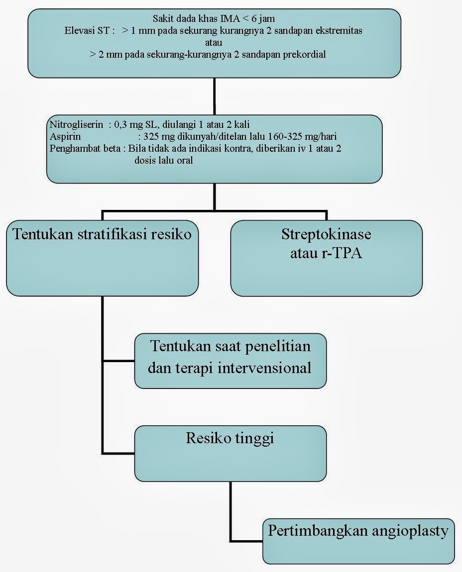 Infark Miokard Akut (IMA), Myocardial Infarction Medical Articles