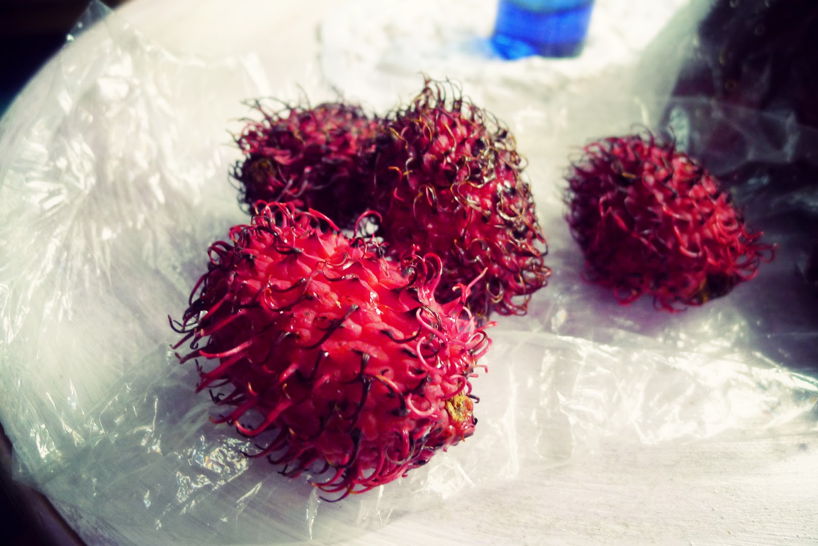 Rambutan Fruit Small Spiky Fruit : Rambutan is a fruit grown in ...