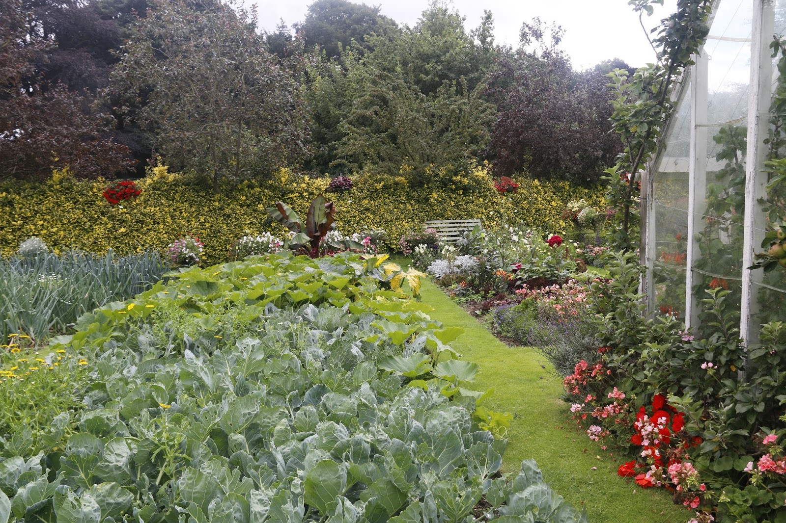 JibberJabberUK: Meynell Langley Trials Garden
