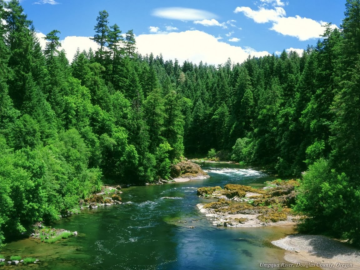 Kiss You Nepal: Beautyful Nepal: Nepal has a rich geography