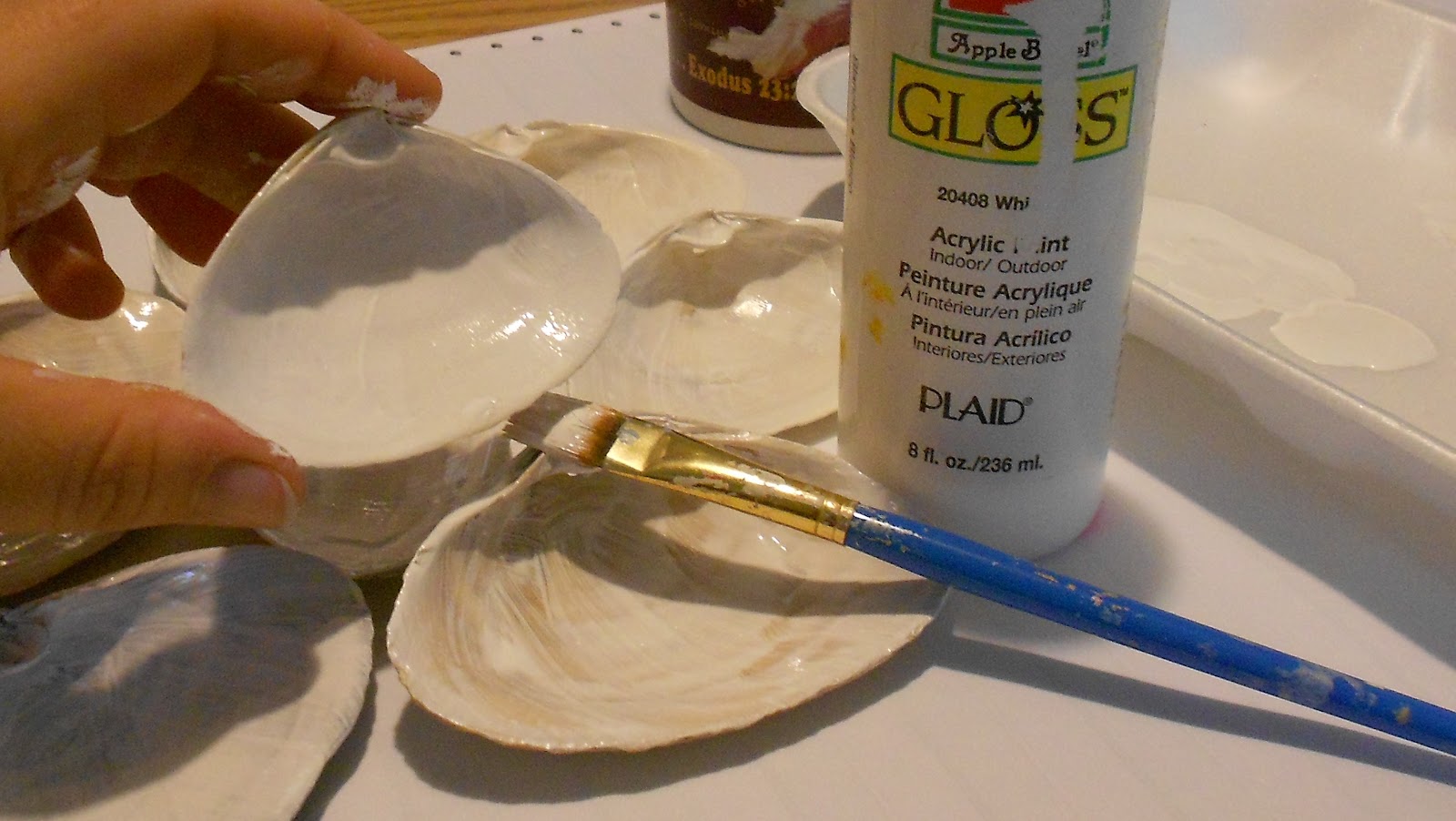1022 Sea Shell Ave: The Process of Hand Painting Sea Shells