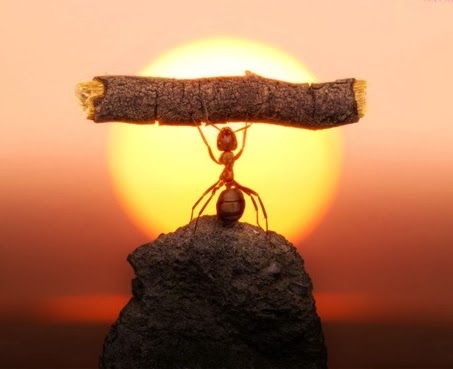 "LUZ PARA VIVER": O QUE É SER FORTE