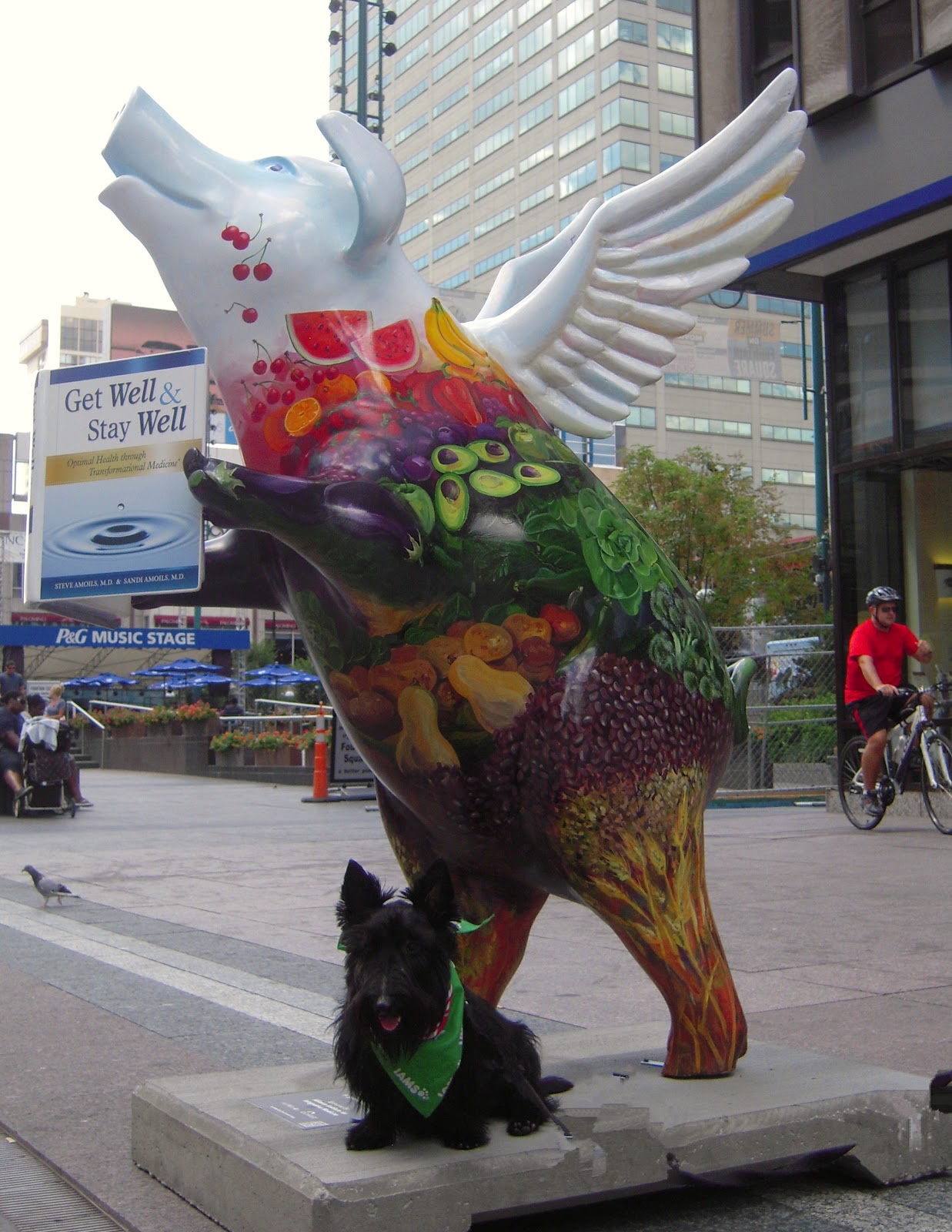 Sweet William The Scot: Who Let The Pigs Out