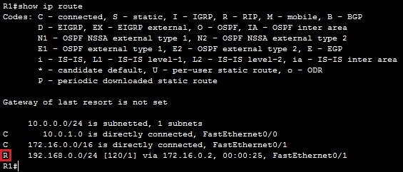 Routing Information Protocol (RIP Protocol)