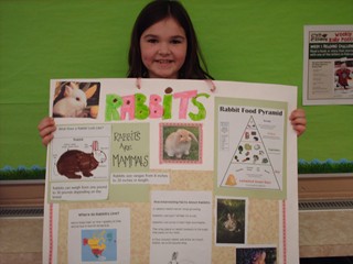 Second Grade Sunshine: January 2012 Animal Research Projects