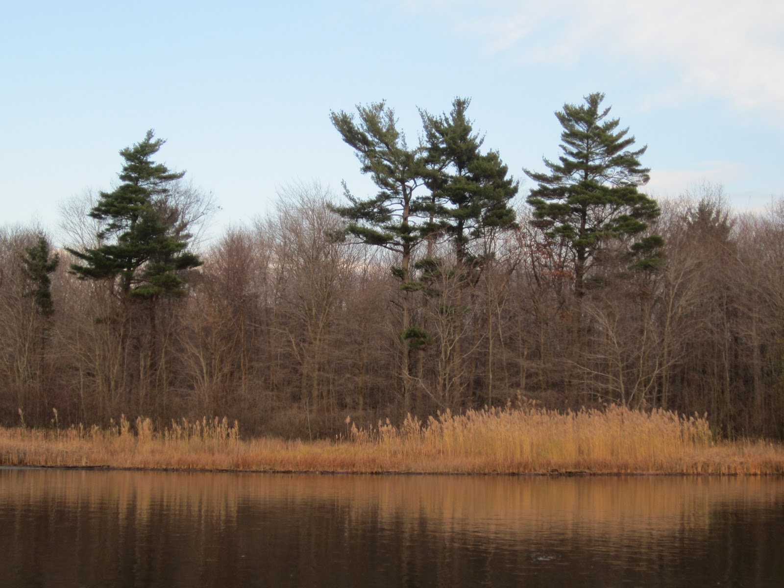 The Adventures of Little FIsh: Pigeon Lake, Lake Michigan, and Pigeon Creek
