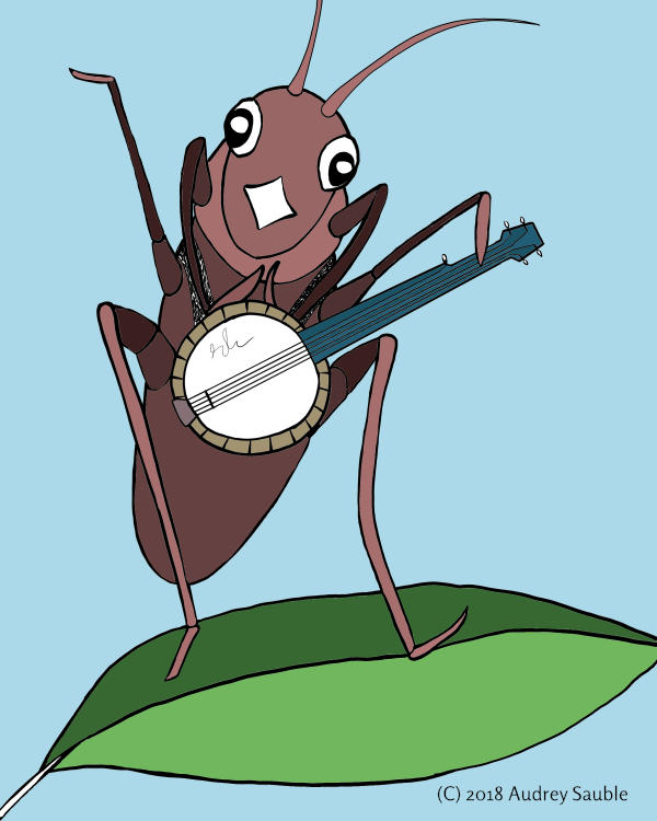 The Singing Cricket (coloring page)