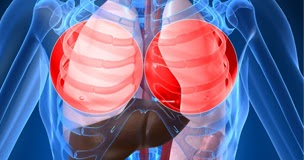 Combatir cancer y otras enfermedades con té de musaro: Té De Musaro ...