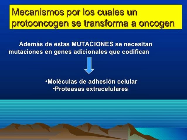 NEOPLASIAS: MECANISMOS DE LOS PROTOONCOGENES, ONCOGENES y GENES SUPRESORES