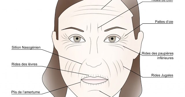 Les rides et les marques de votre visage révèlent des secrets sur votre ...