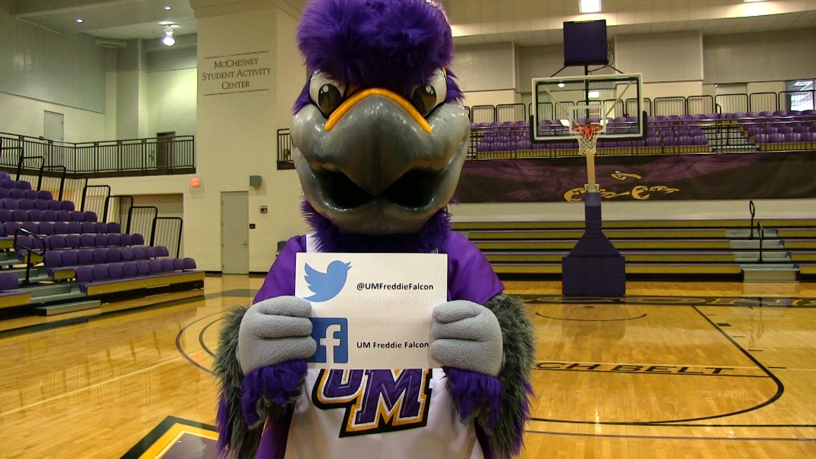 Falcon News Network: The Falcon Is Back In Montevallo Falcons