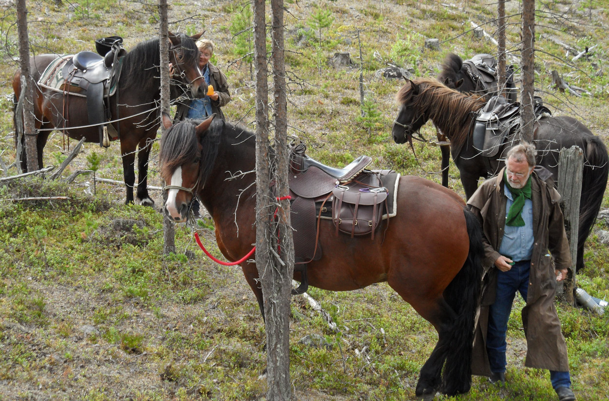 Ranch at Caribou Rock - Swedish Lapland: Riding tour at Caribou Rock ...