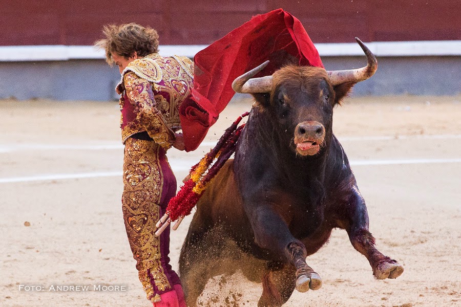 Del toro al infinito: 3ª "SAN ISIDRO: ROMÁN TIENE FUTURO / Por Domingo ...