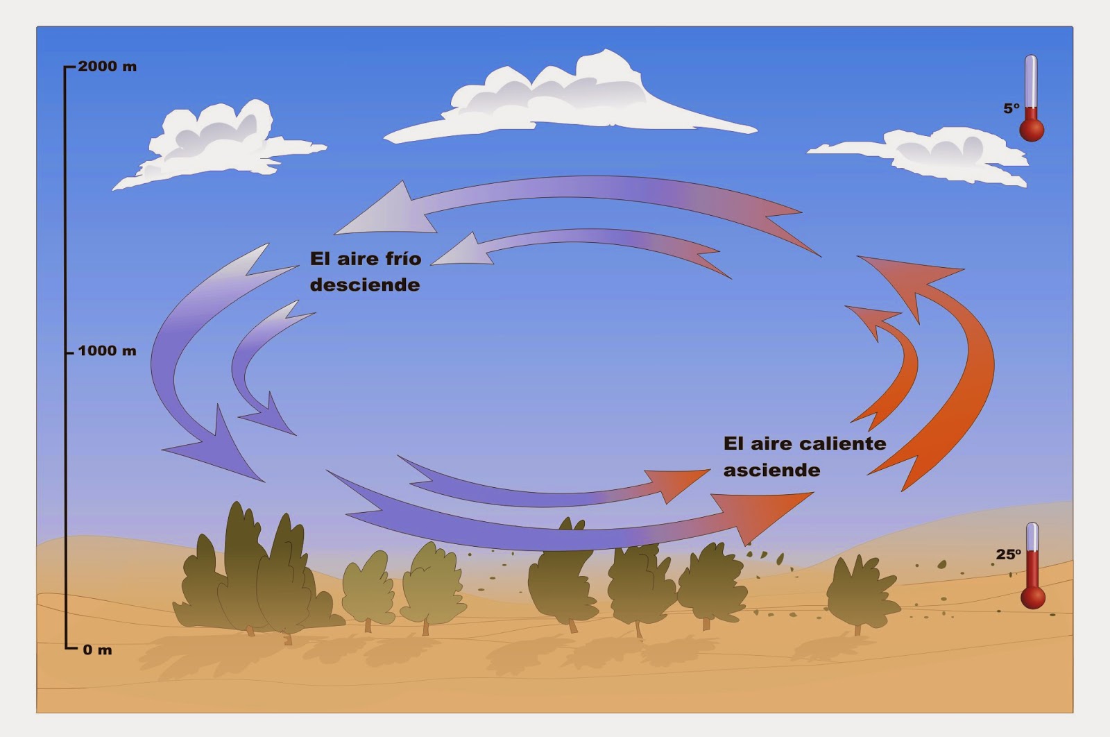 Profesor de Historia, Geografía y Arte: Tiempo y clima