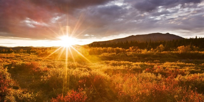 Educar con Jesús: Resurrección: al rayar el alba...