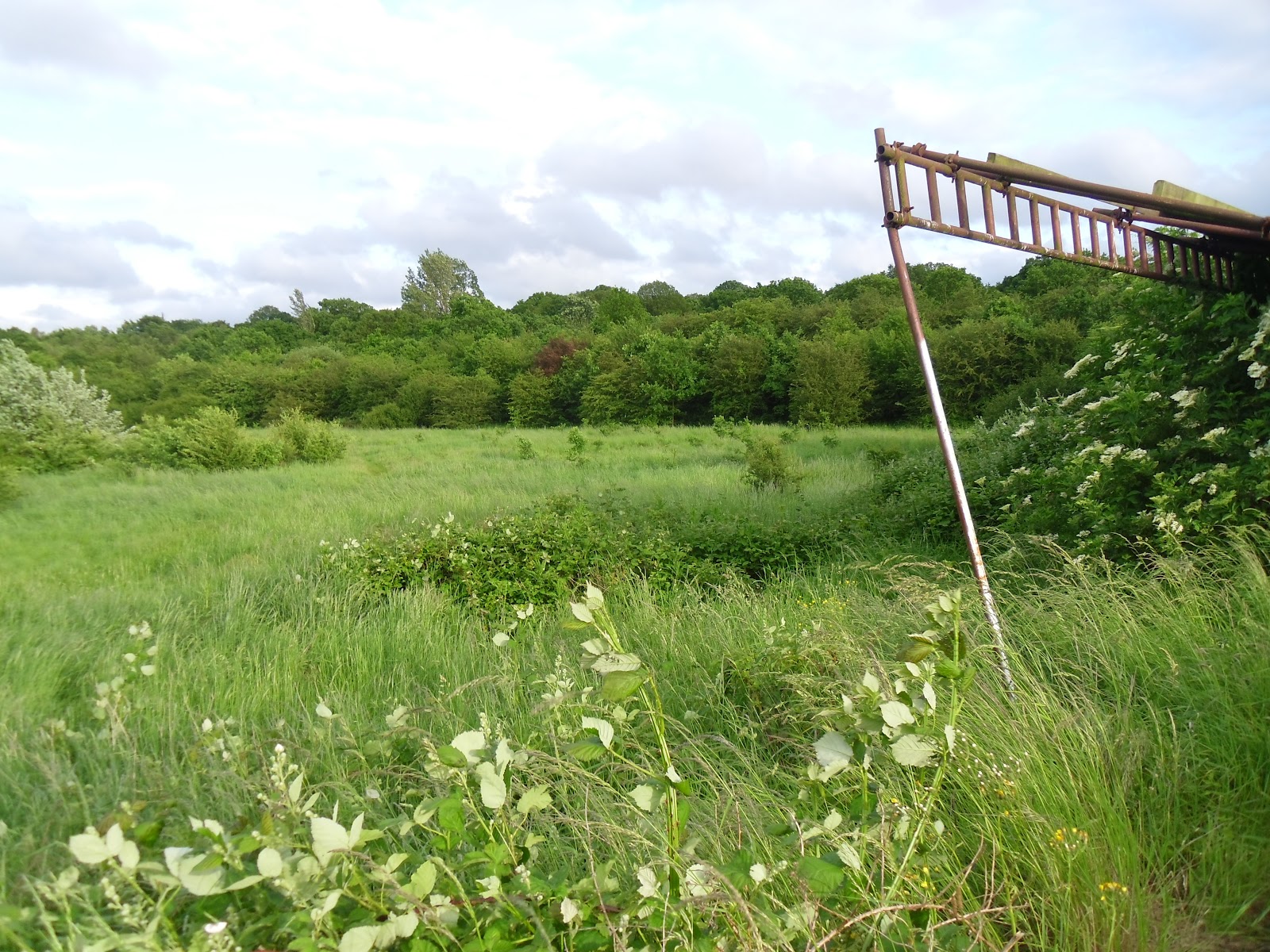 The Cold End: THE HISTORY OF FOOTBALL IN CHINGFORD - CHINGFORD FC v ...