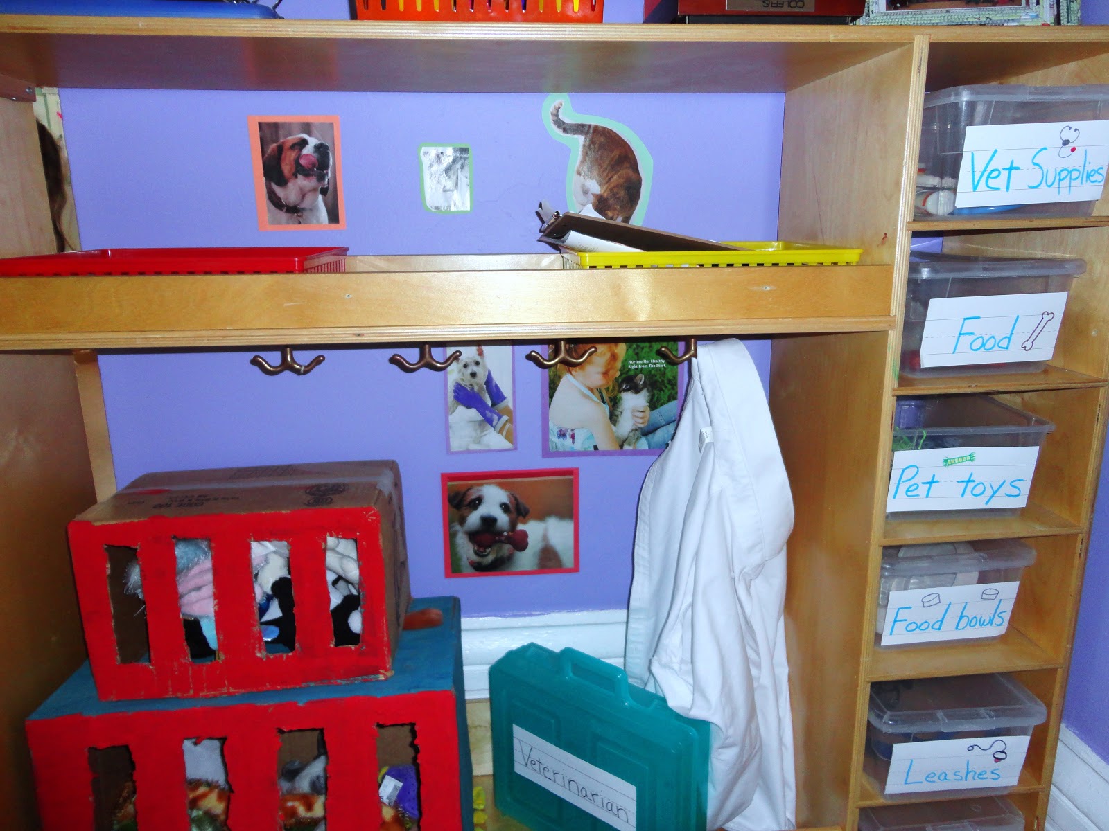 My Catch A Star Classroom!: P is for Pets!