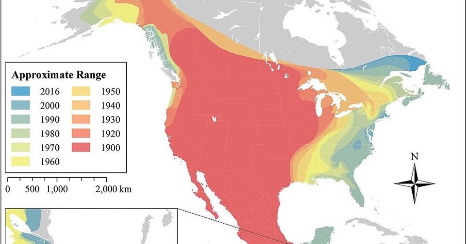 Terrierman's Daily Dose: The Spread of Coyotes in North America