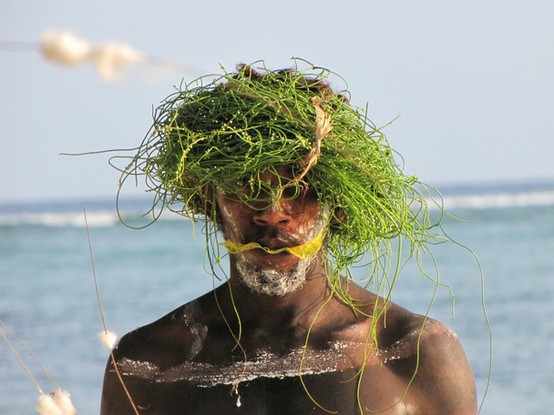 Espaces Magnétiques: Danseur serpent, Vanuatu, Pacifique sud