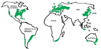 Biomas do mundo: Biomas do mundo