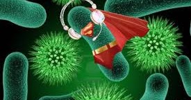 ¿Que son las superbacterias?