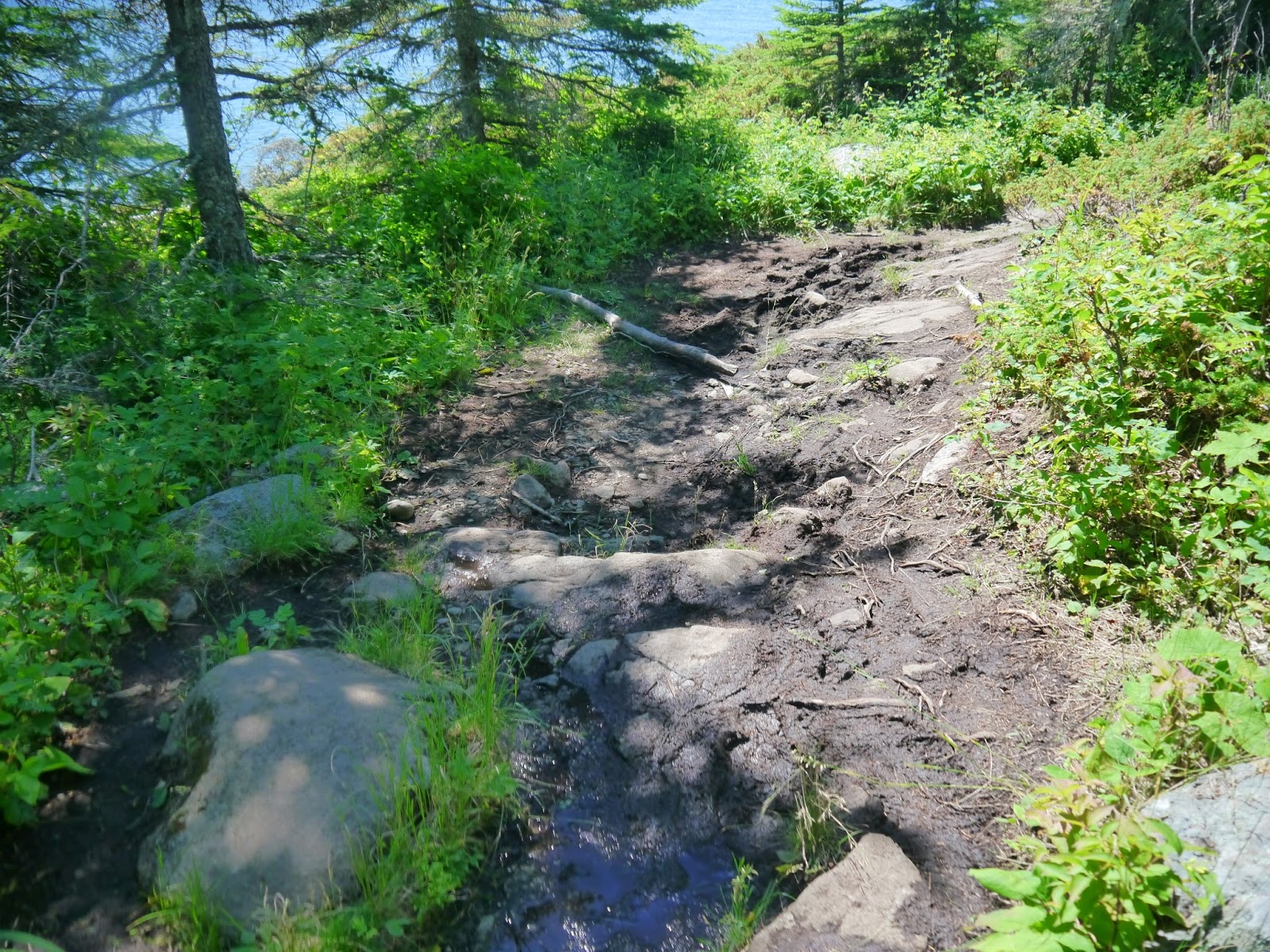 American Travel Journal: Rock Harbor Trail from Rock Harbor to Three ...