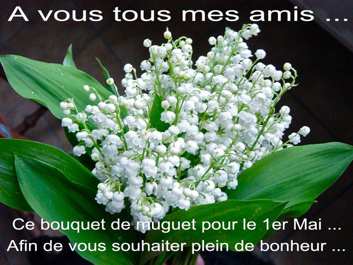 Sociedad Francesa de Tres Arroyos: Le premier mai, fête du travail et ...