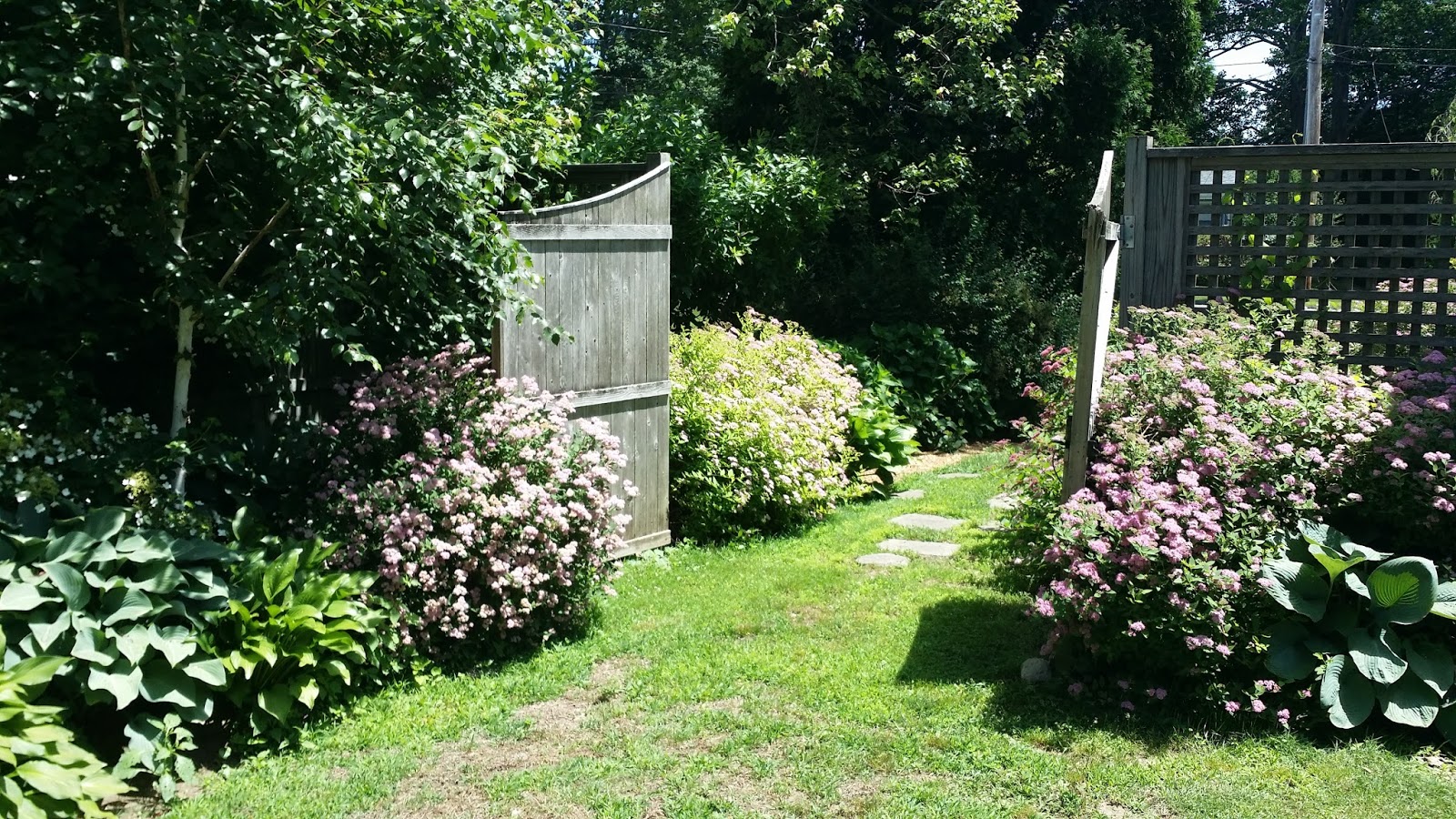 My new journey is with ALZHEIMER'S...JOIN ME