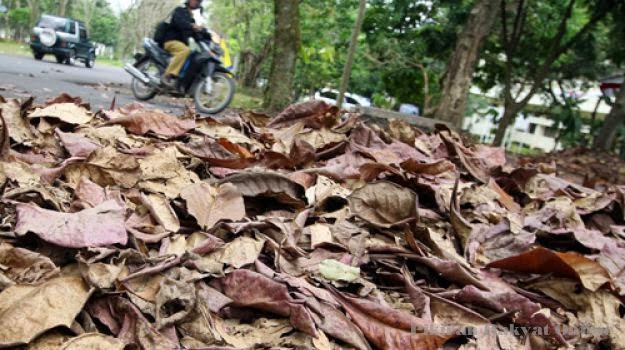 Pengolahan Sampah ~ SISTEM INFORMASI KESEHATAN