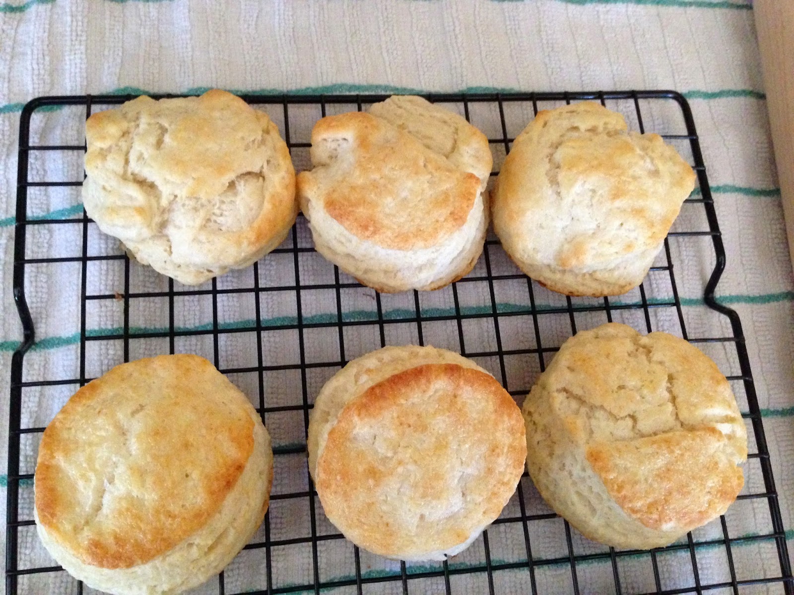 Clever Jenoe: Favorite Biscuits!