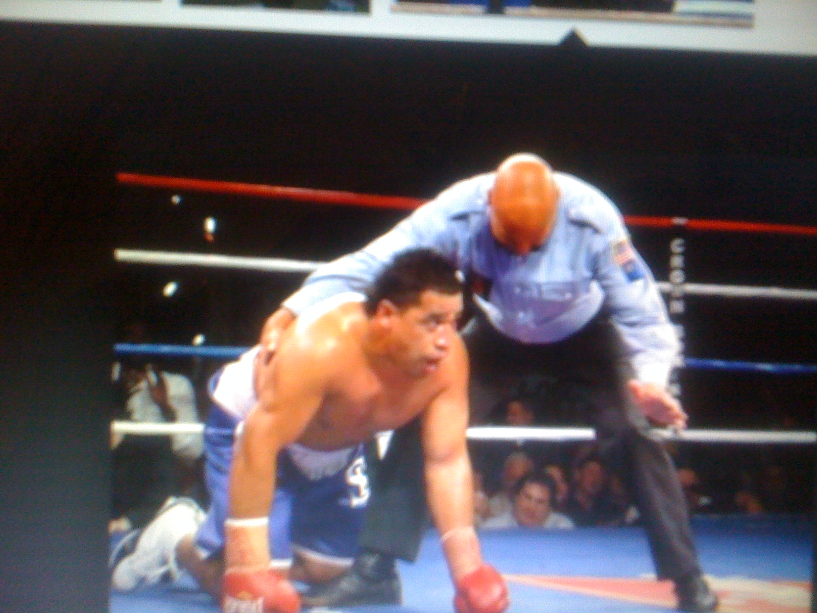 THE BLACK SOCIAL HISTORY:: BLACK SOCIAL HISTORY : AFRICAN AMERICAN OF ...