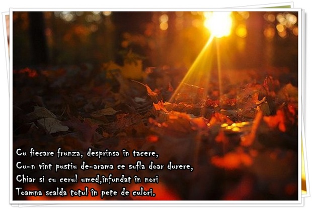 FRUMOS,PENTRU MINTE,INIMA SI SUFLET: SA AI CEA MAI FRUMOASA TOAMNA DIN ...