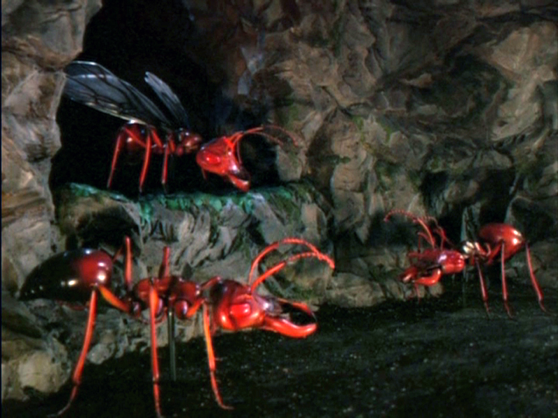 13: MONSTER ISLAND / MTV - 2004