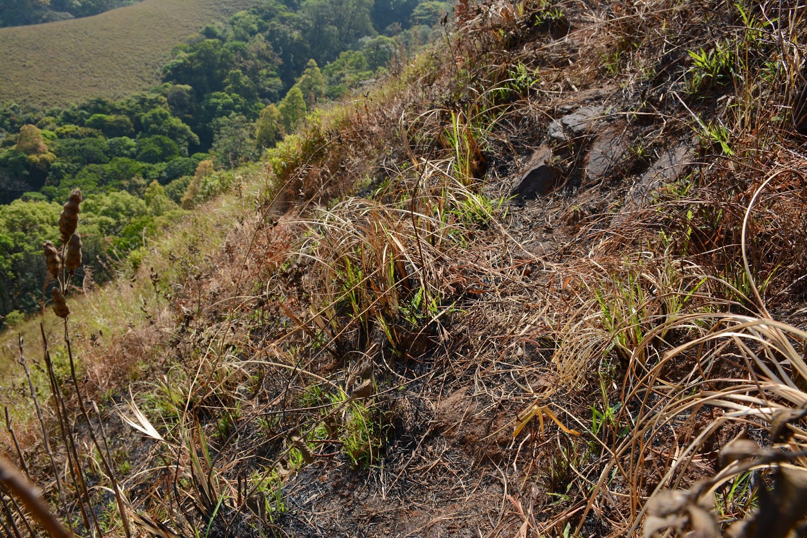 Our Travel Tales: Trek to Ballarayanadurga Fort