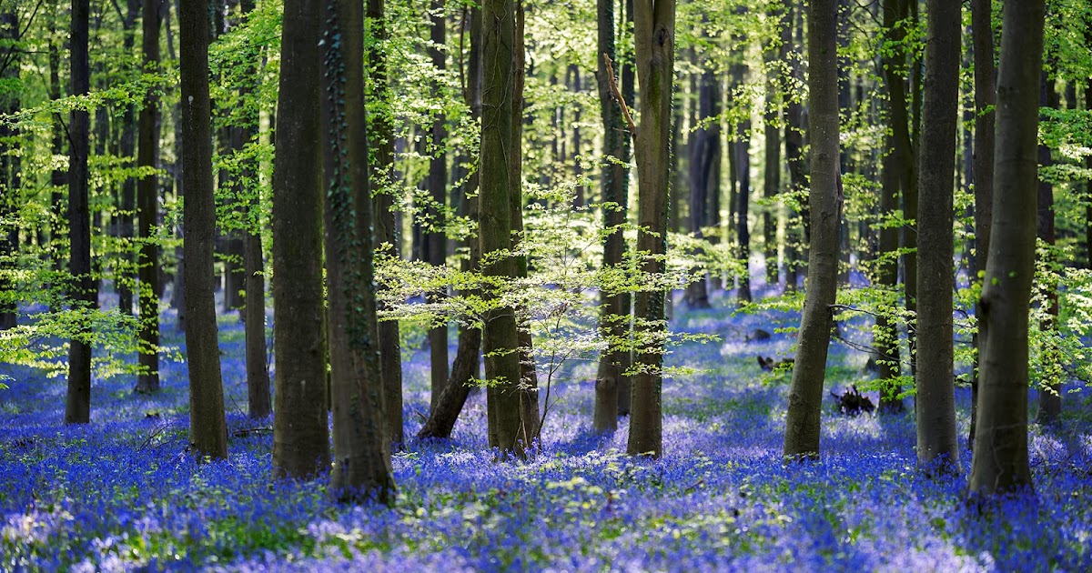 CentOS6.5 Tcptrack Installation