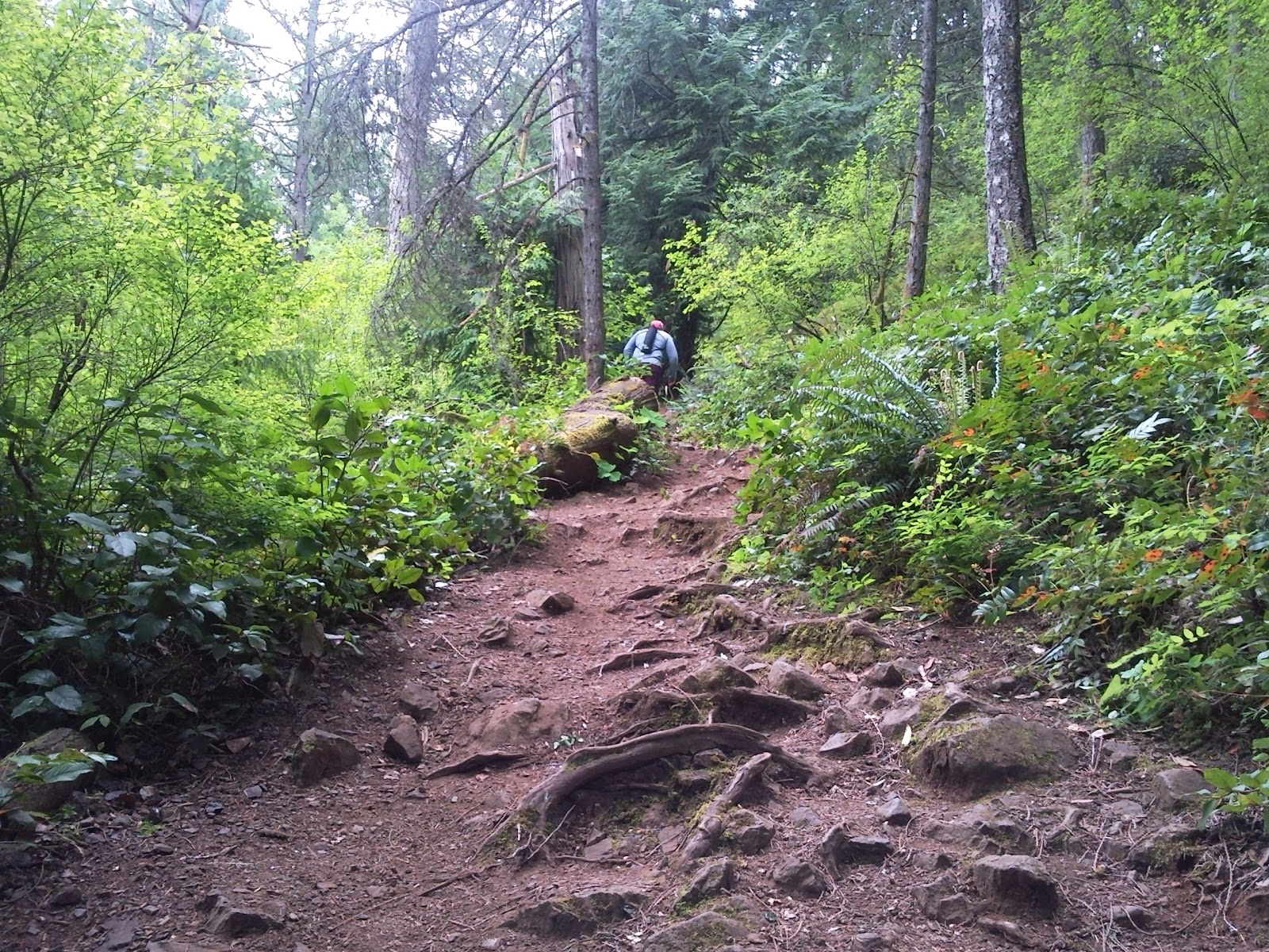 Mel's Daily Dose: May 21...Mt.Work hike
