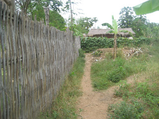Linda in Brazil: Houses and Children in Ribaué