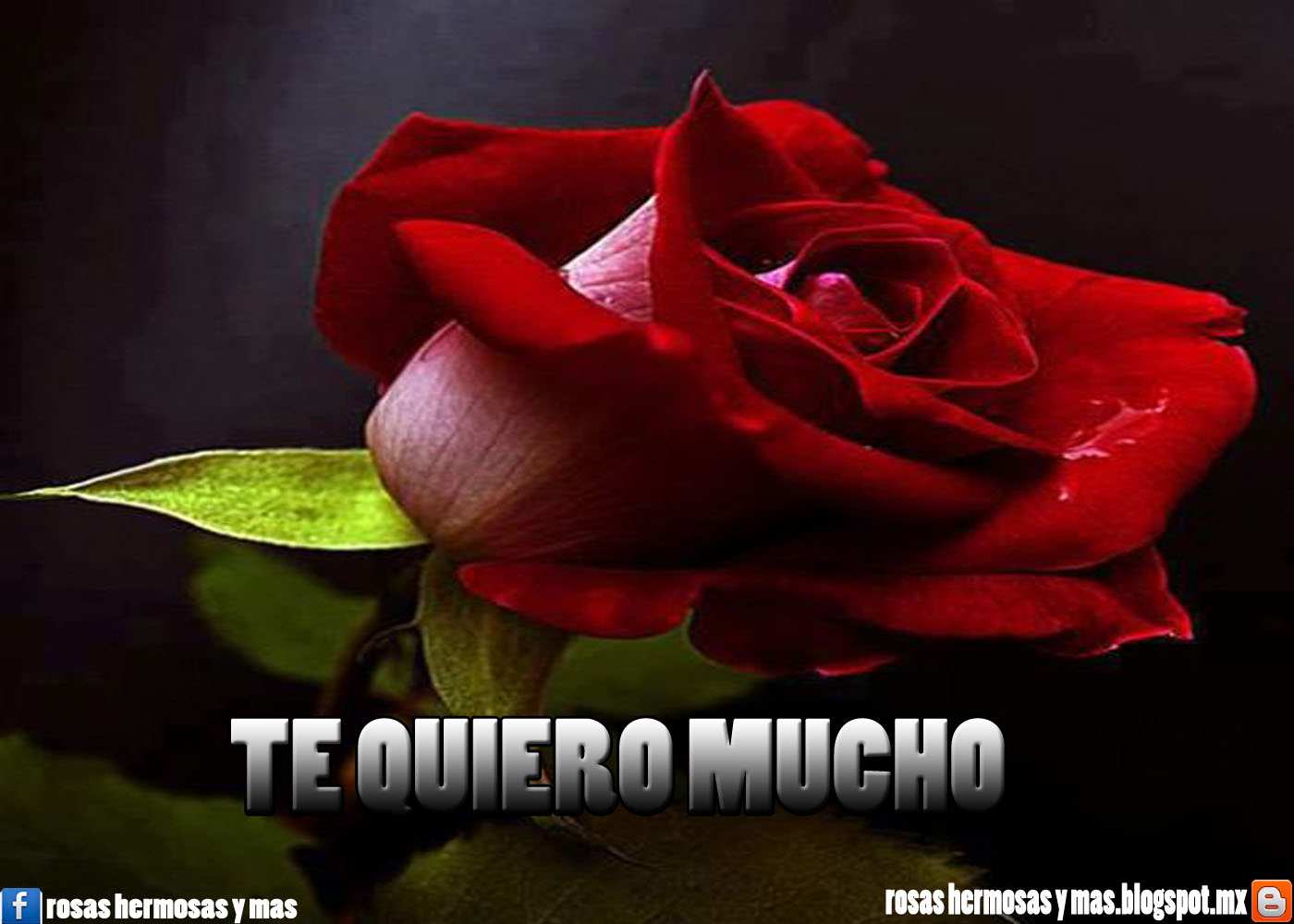 Rosas preciosas de te amo - Imagui