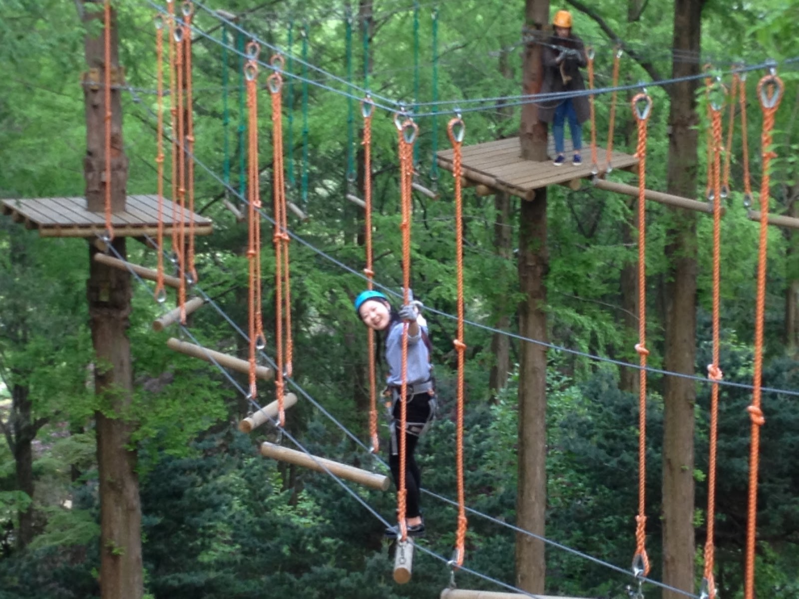 Hillcrest Zip-Lining Adventure in Daegu, Korea - Adventure in Nature