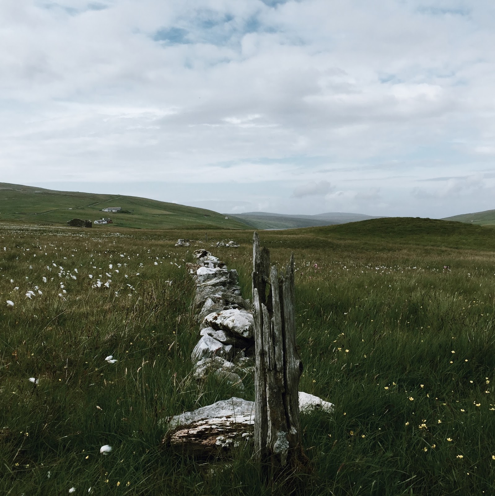Spring mending-time—a time to throw away stones, and a time to gather ...