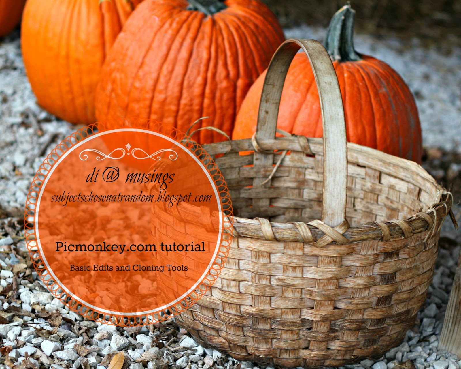 Musings: Picmonkey Tutorial: Basic Edits and Clone Tool
