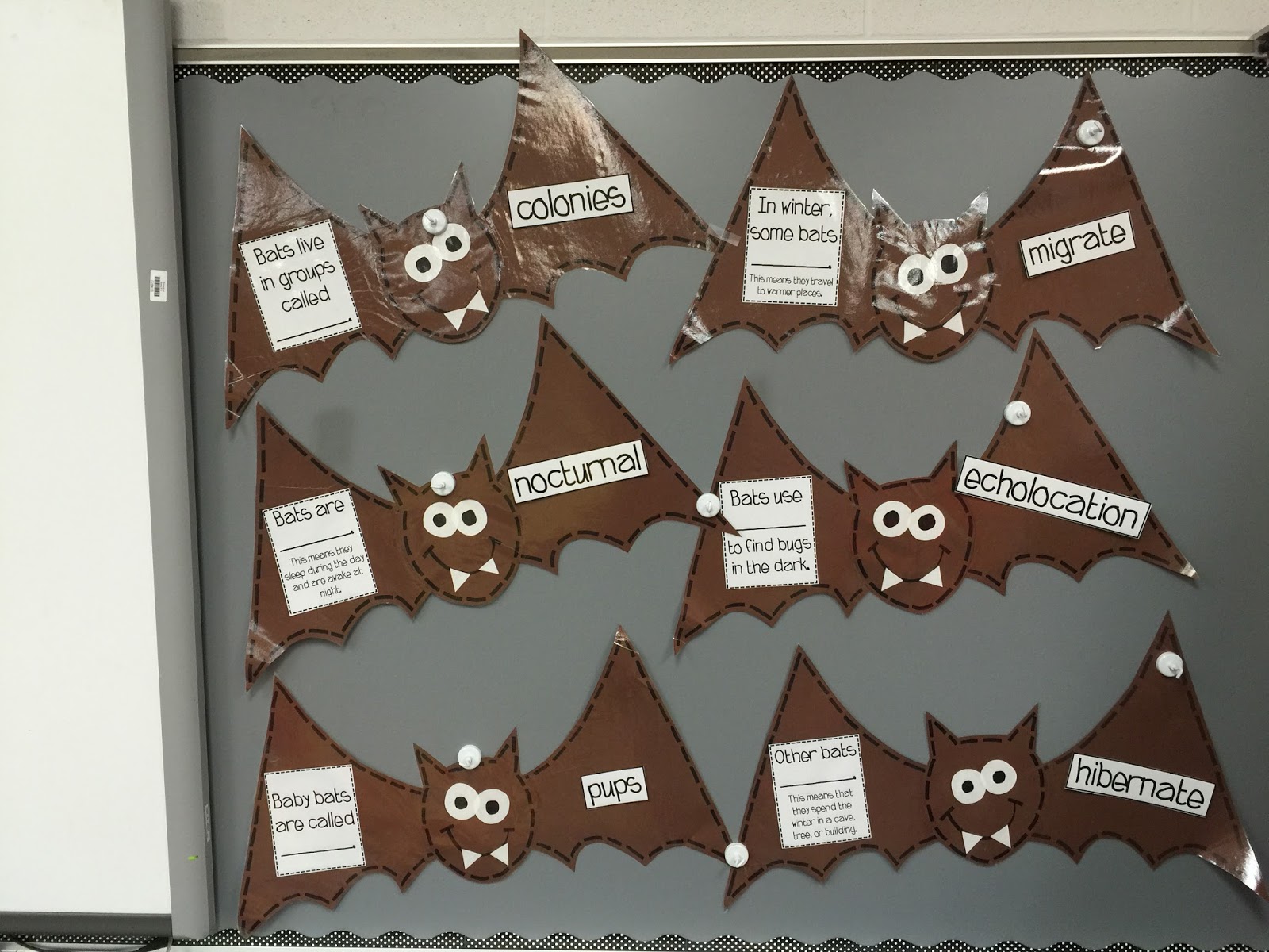 Teaching With Terhune: Bat Unit