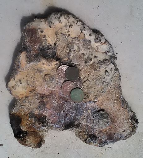 The Treasure Beaches Report Direct From Florida's Treasure Coast.: 3/29 ...