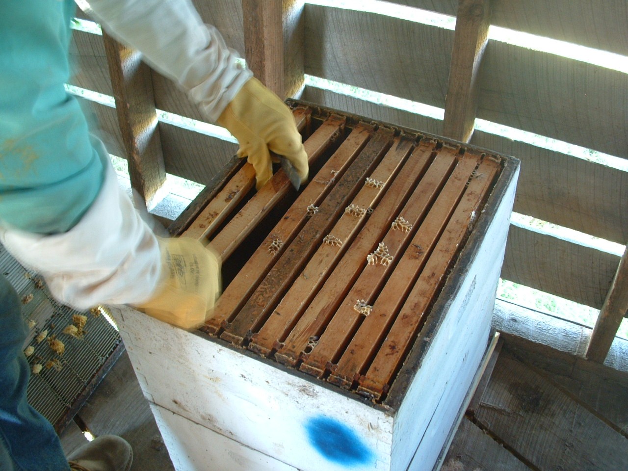Ohio Microfarm: The Bee Barn - A European style apiary