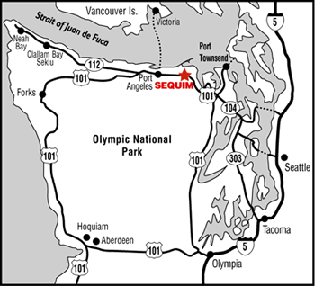 Desert Reflections: Sequim, WA