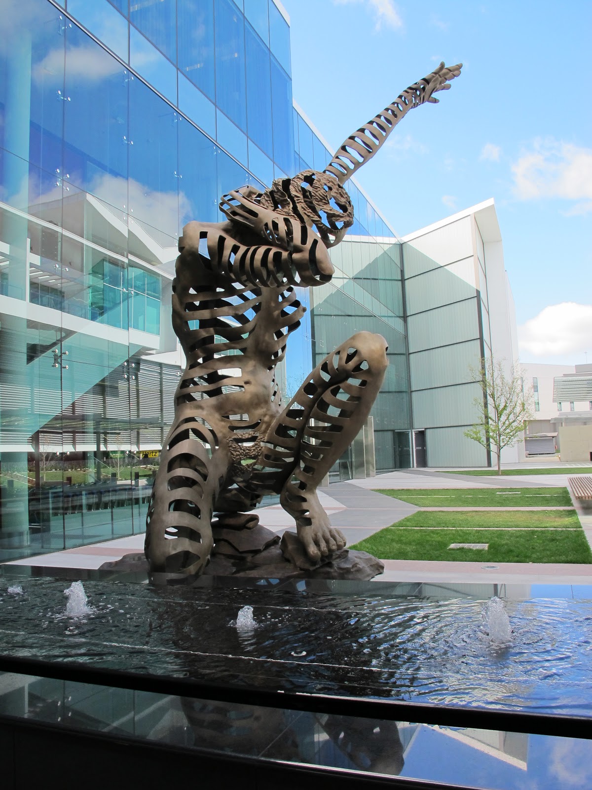 Ungardened Moments: Canberra