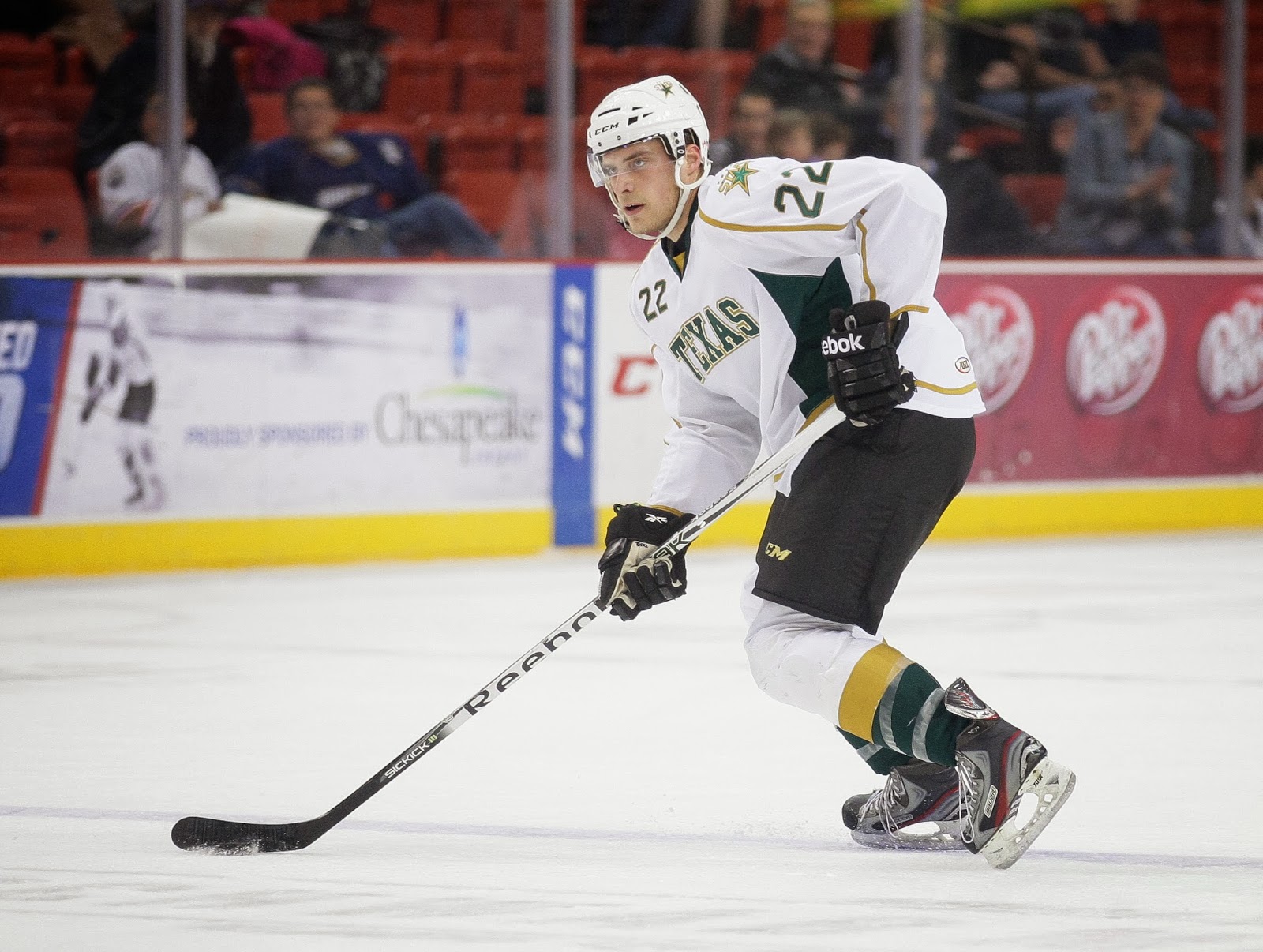 Defenseman Carl Sneep Leaves Steelheads, Likely to Retire From ...