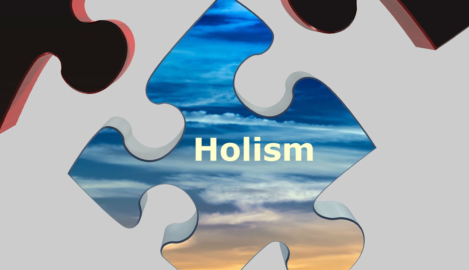 The New Year Prediction of the “Future of CIO” Blog: The HOLISM of the ...